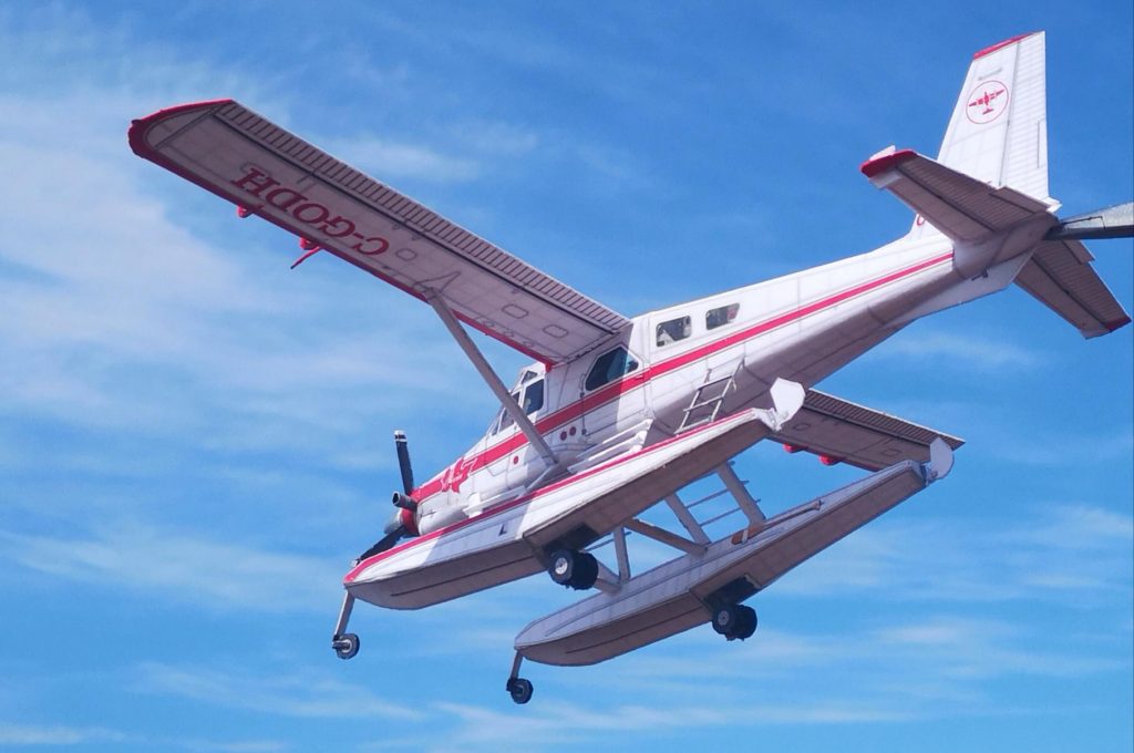 DGA DeHavilland Canada DHC-2 MkIII Turbo Beaver INSTRUCTIONS ONLY ...