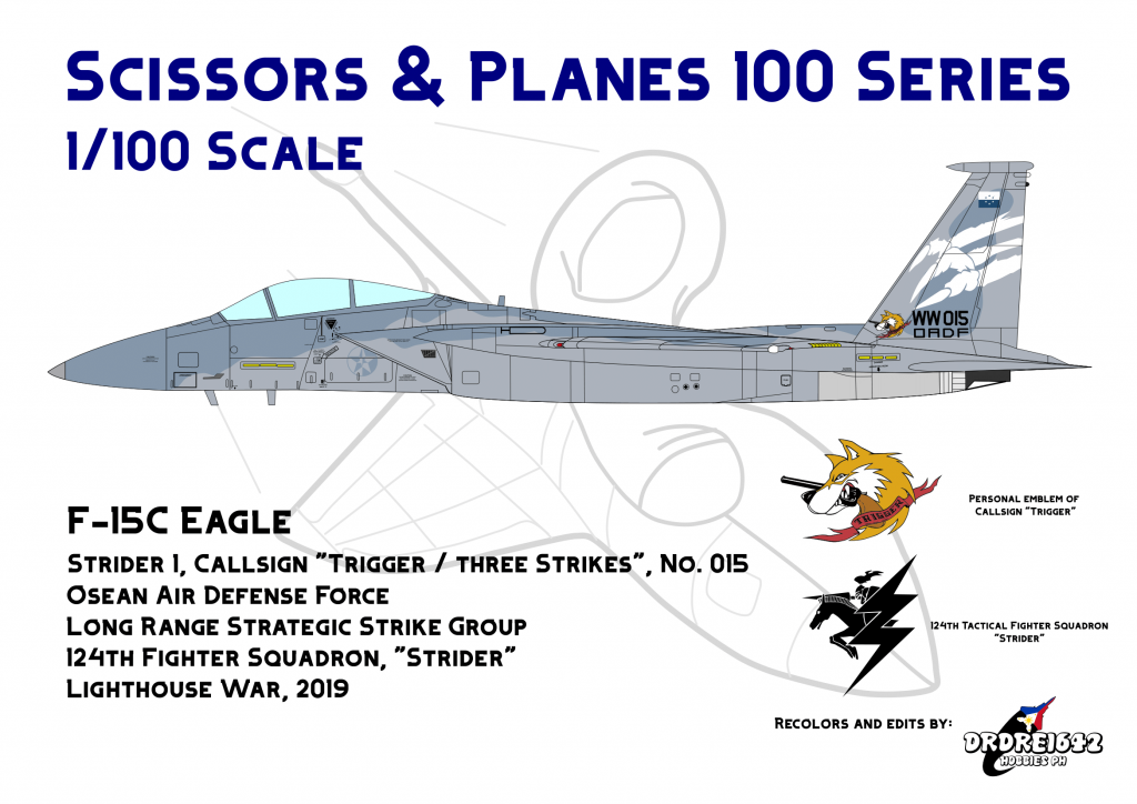 1/100 Scale F-15C Eagle "Ace Combat 7's Long Range Strategic Strike ...